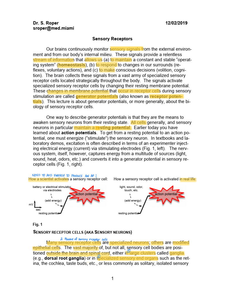 Sensory Receptors - December 2019 | PDF | Stimulus (Physiology) | Retina