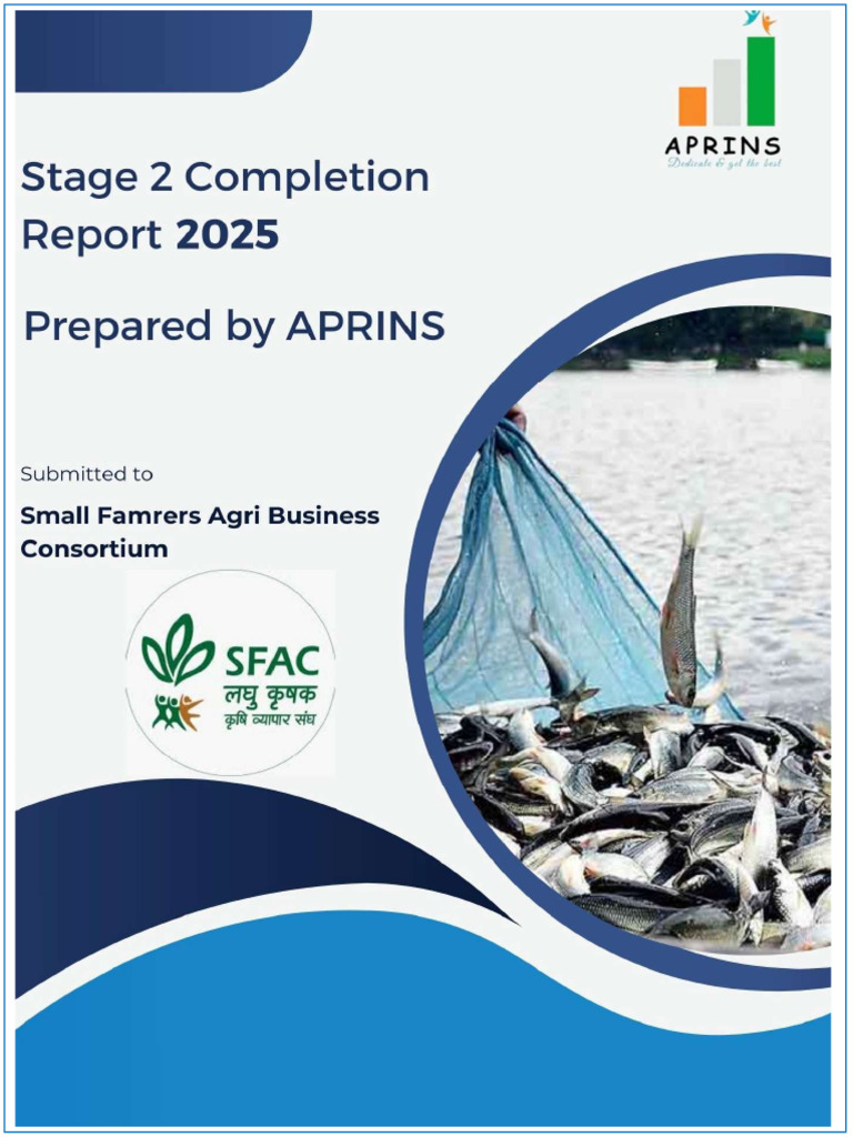 Stage Completion Report APRINS... | PDF | Capacity Building | Economies