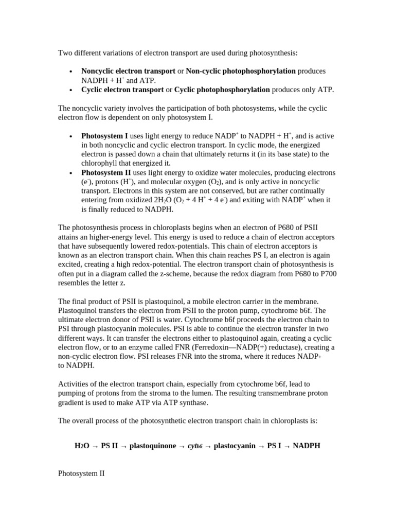 Electron Transport Chain Photosynthesis (1) | PDF | Electron Transport ...