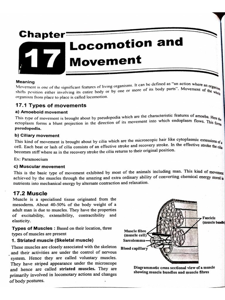 CH - 17 Locomotion and Movement | PDF