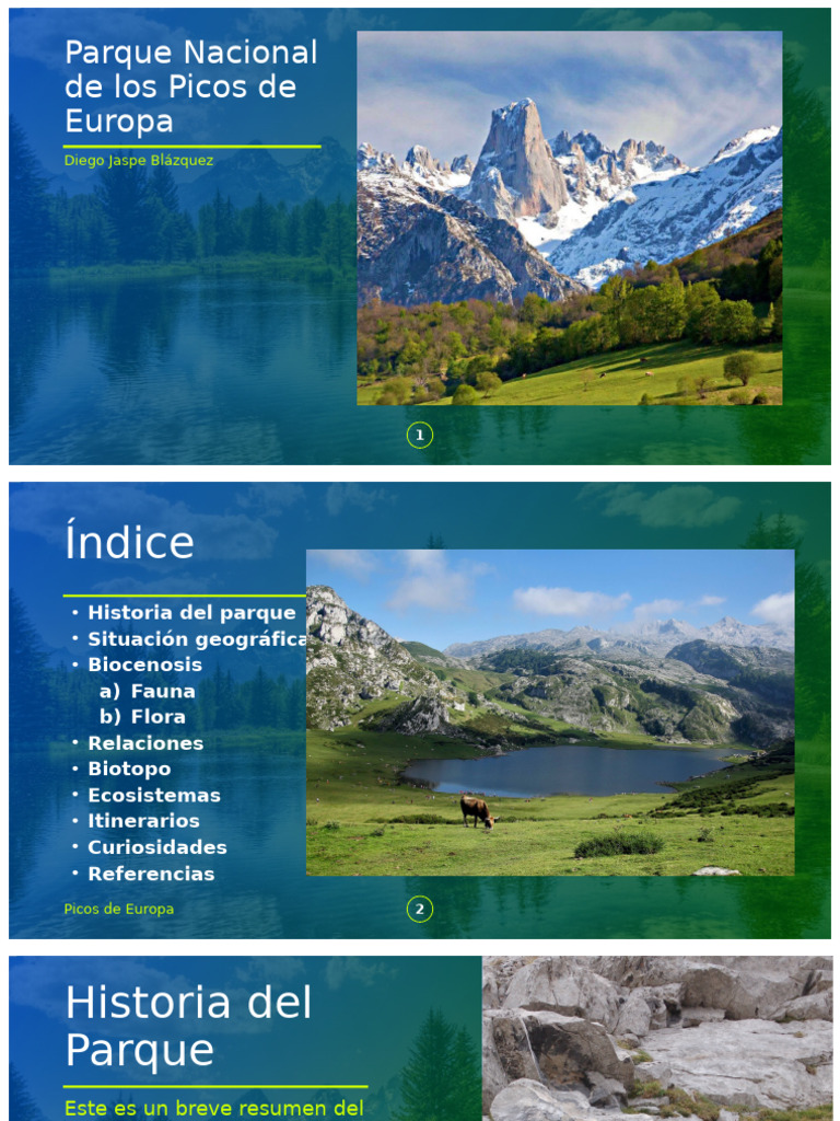 Parque Nacional de los Picos de Europa | PDF | Aves
