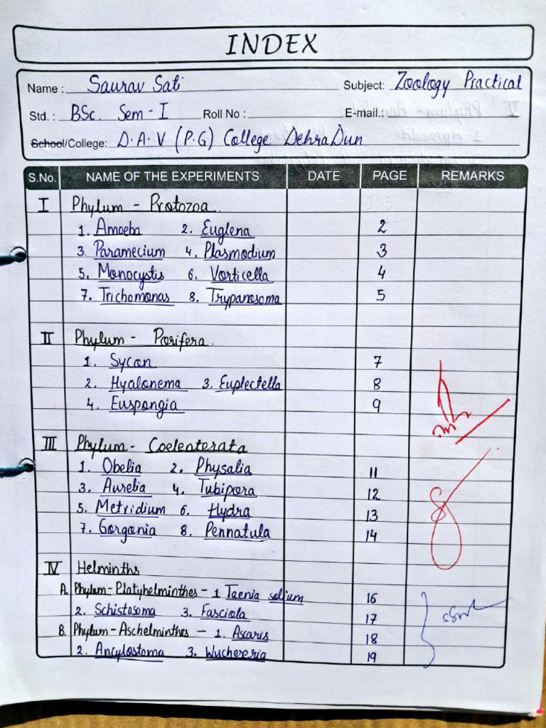 Zoology Practical File 1st Sem Navdeep Rana ABVP?? | PDF