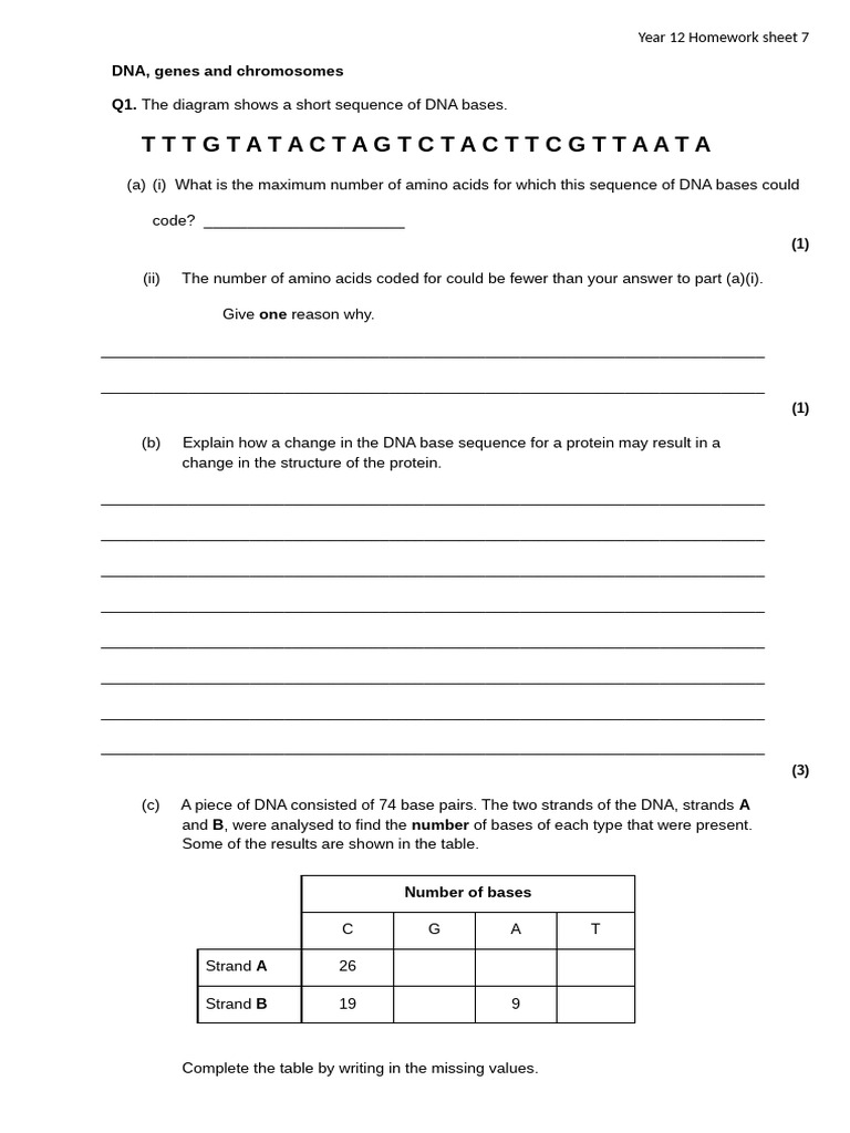 DNA, Genes and Chromosomes Worksheet 7 | PDF | Messenger Rna | Dna