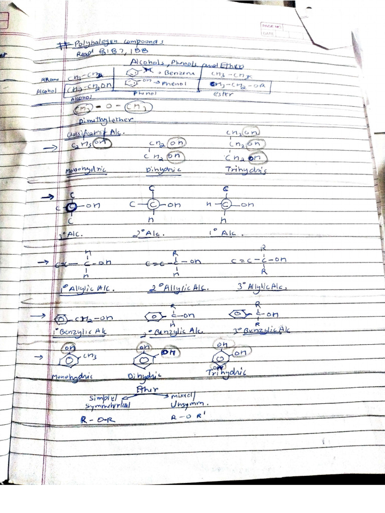 ACE Scanner_2025_02_26 | PDF