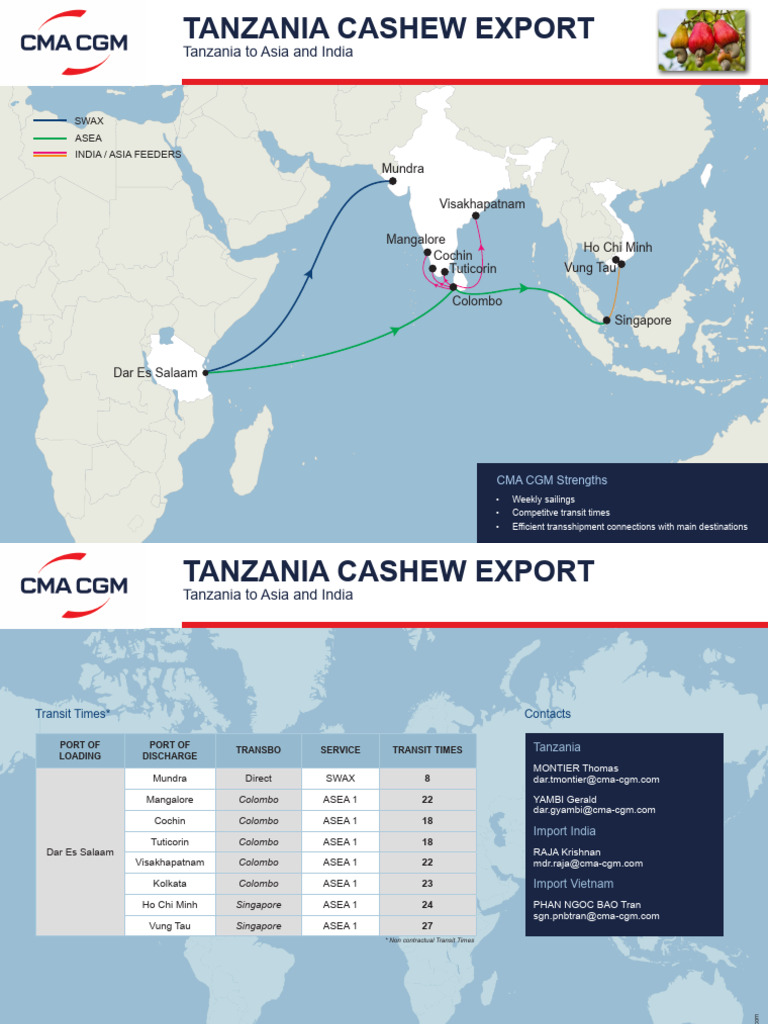 Tanzania Cashew Export - Cma Cgm | PDF | Vietnam