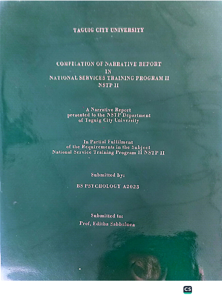 Sample Narrative Report | PDF