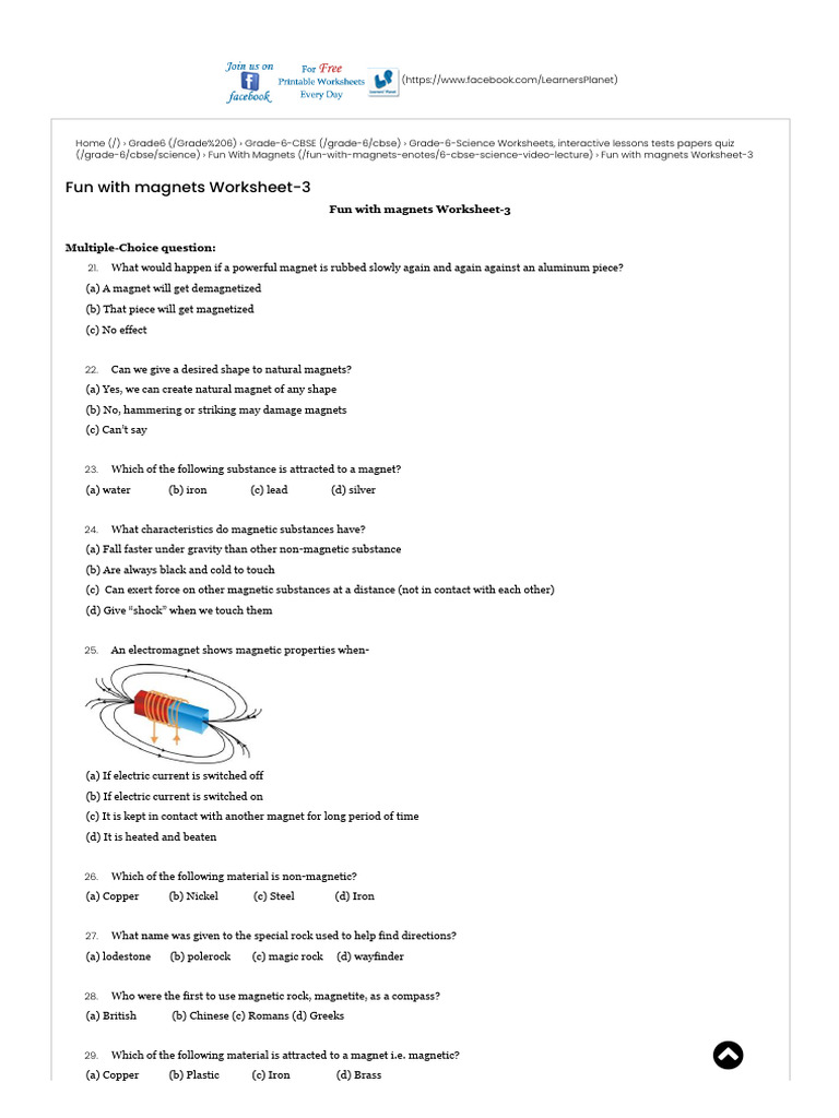 Grade 6 Science: Fun with Magnets Quiz | PDF