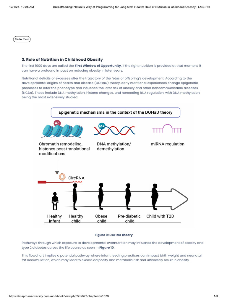 Breastfeeding - Nature's Way of Programming For Long-Term Health - Role ...
