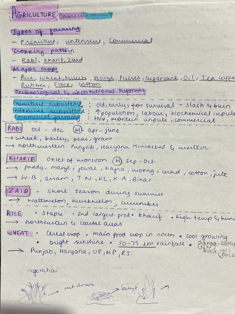 Agriculture - Social Studies Geography | PDF