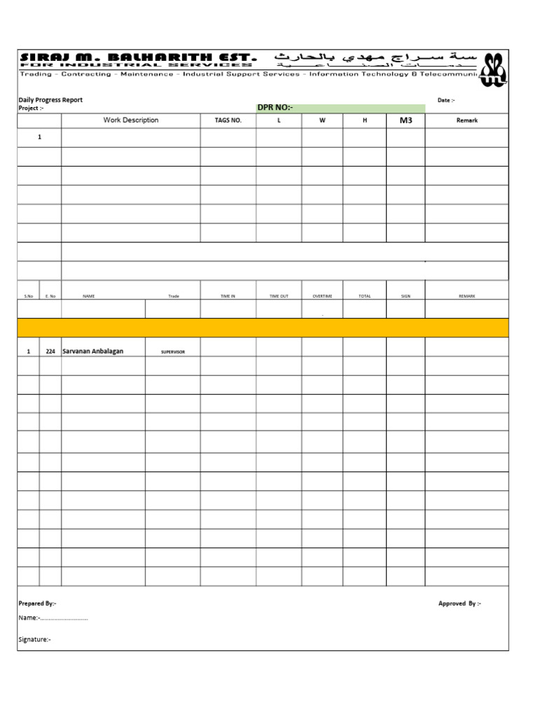 Daily Progress Report Template | PDF