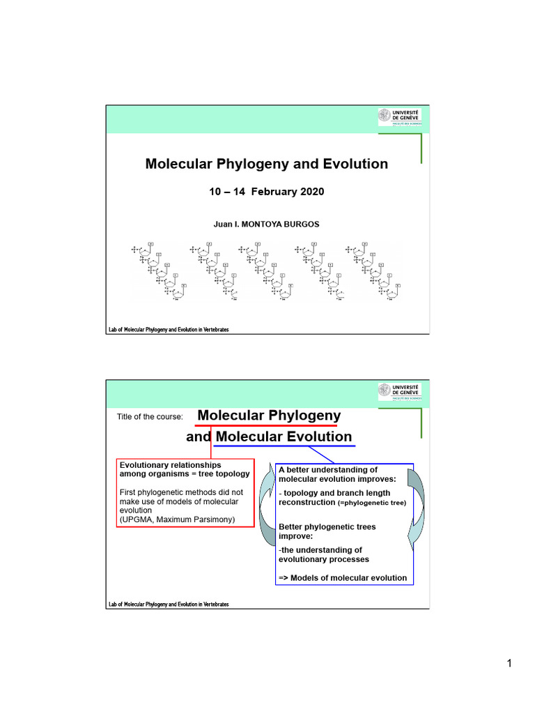 Introduction Lecture 2020 Students | PDF | Phylogenetics | Molecular Phylogenetics