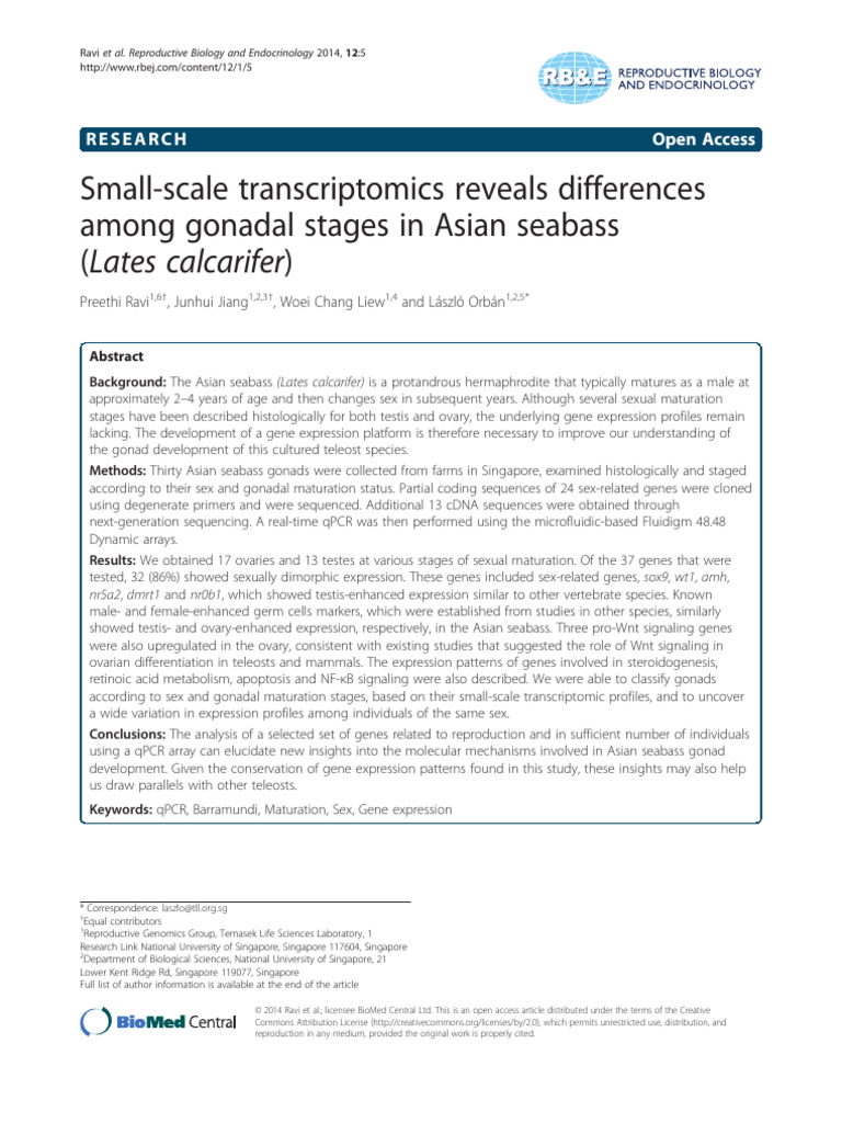 Small-Scale Transcriptomics Reveals Differences | PDF | Polymerase ...
