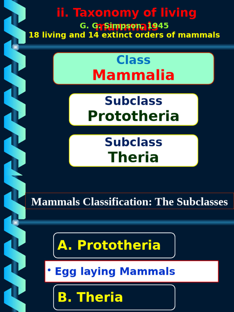 MAMMAL-VI | PDF | Mammals | Marsupials