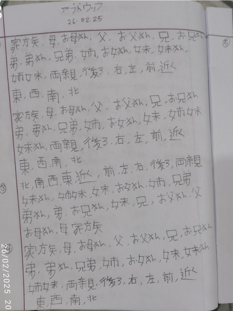 Scanned 20250228 173545 | PDF