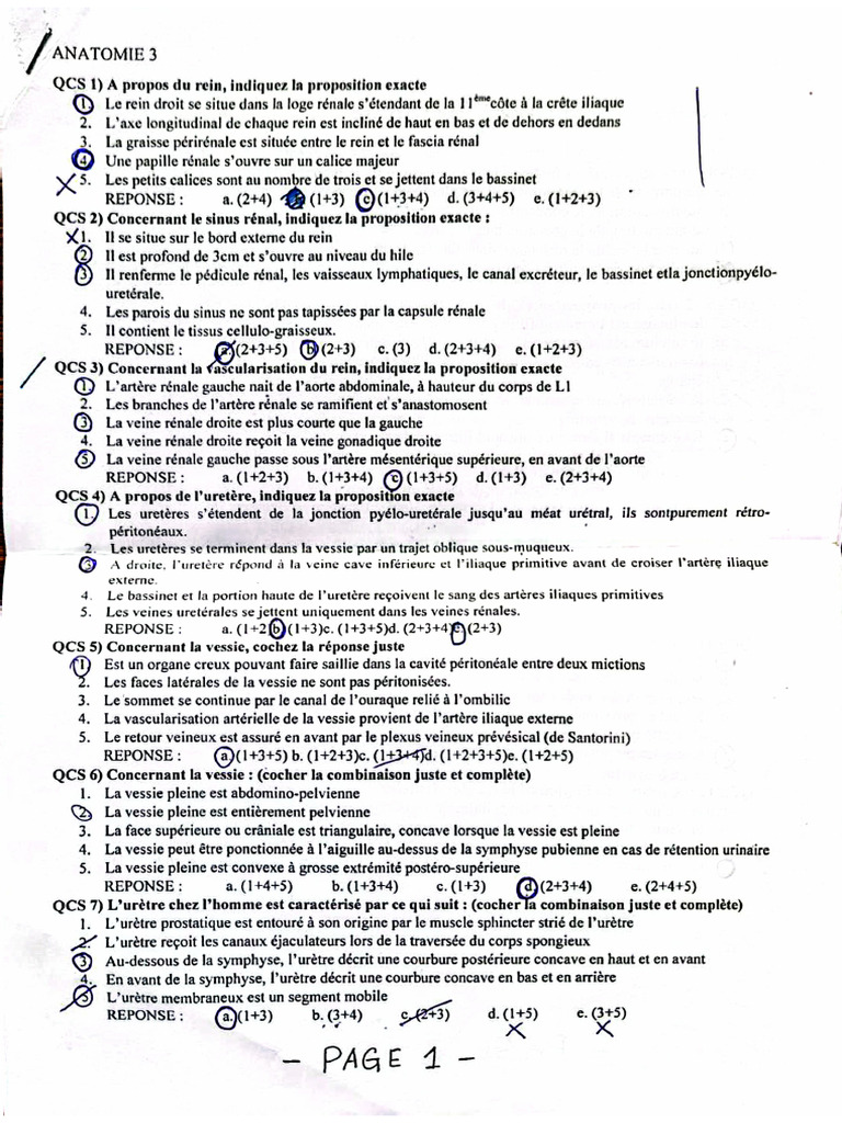 Rattrapage 2023 2024 | PDF