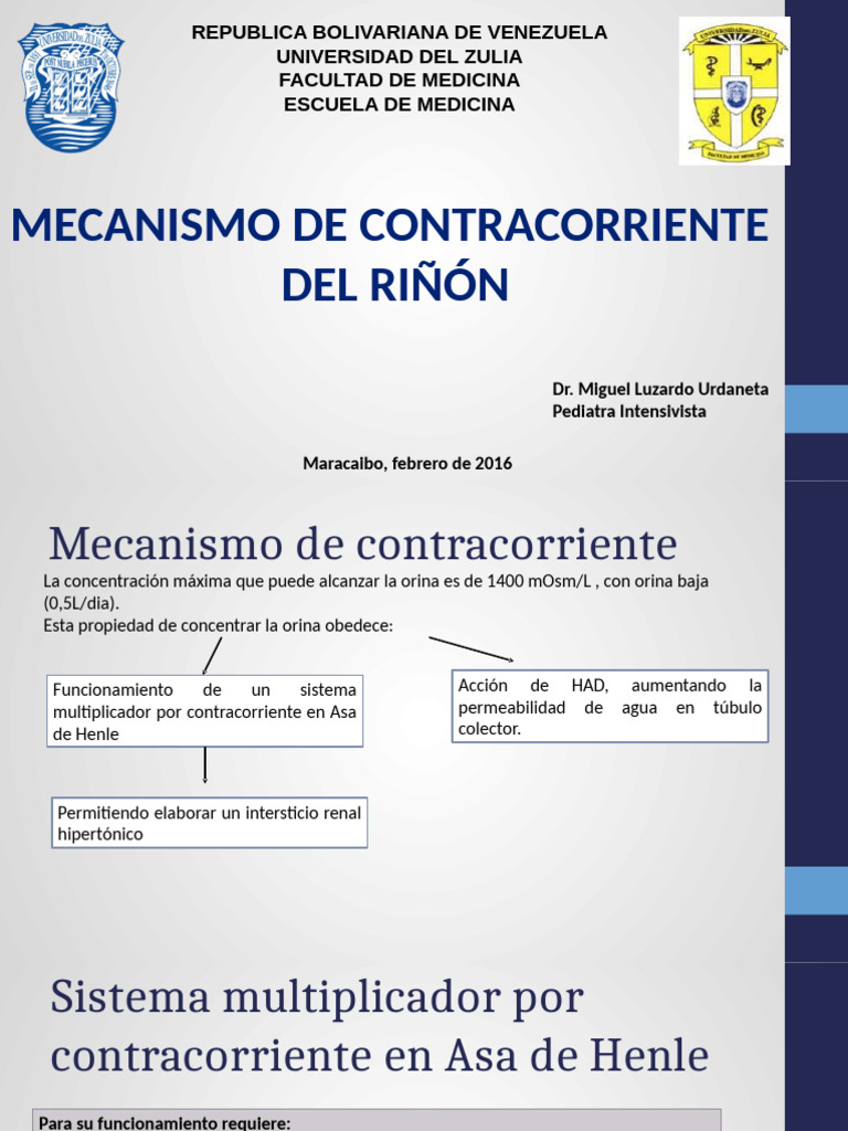 Sistema de Contracorriente Renal | PDF | Riñón