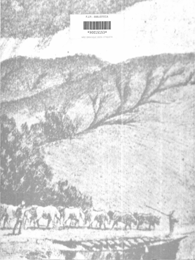 Explorando e Viajando Três Mil Milhas Através Do Brasil v2 - 1873 - 1875 | PDF