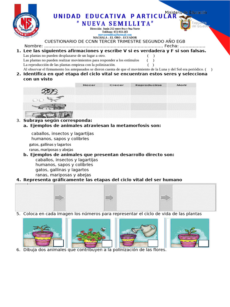 Cuestionario de CCNN | PDF