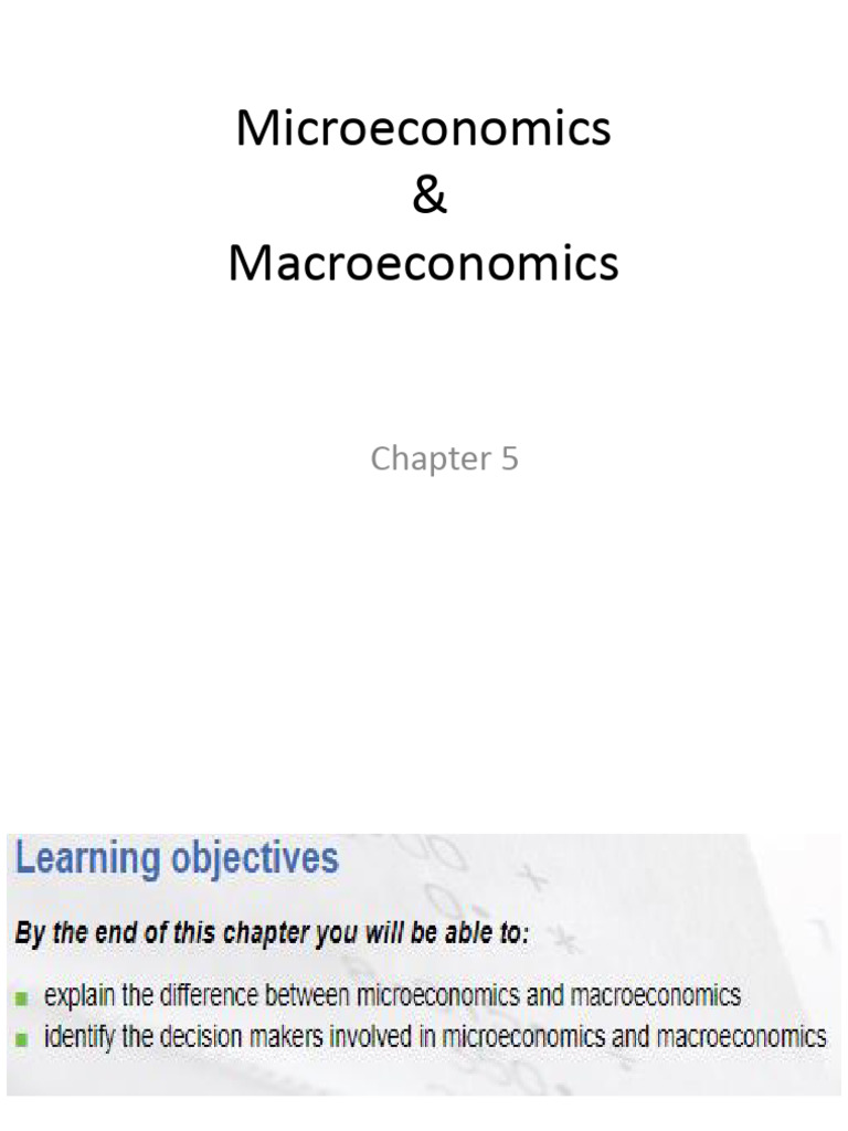 Micro vs. Macro Economics Overview | PDF