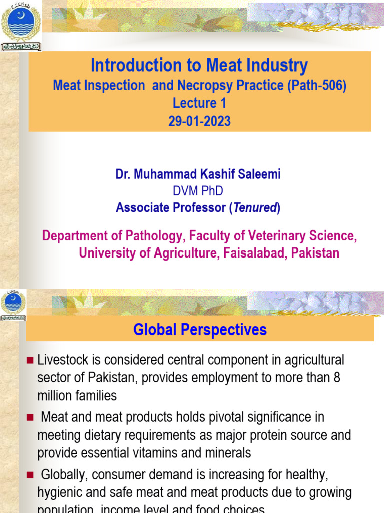 1 - Introduction To Meat Industry | PDF | Meat | Cattle