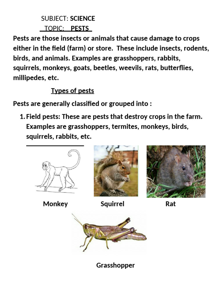 Pests | PDF