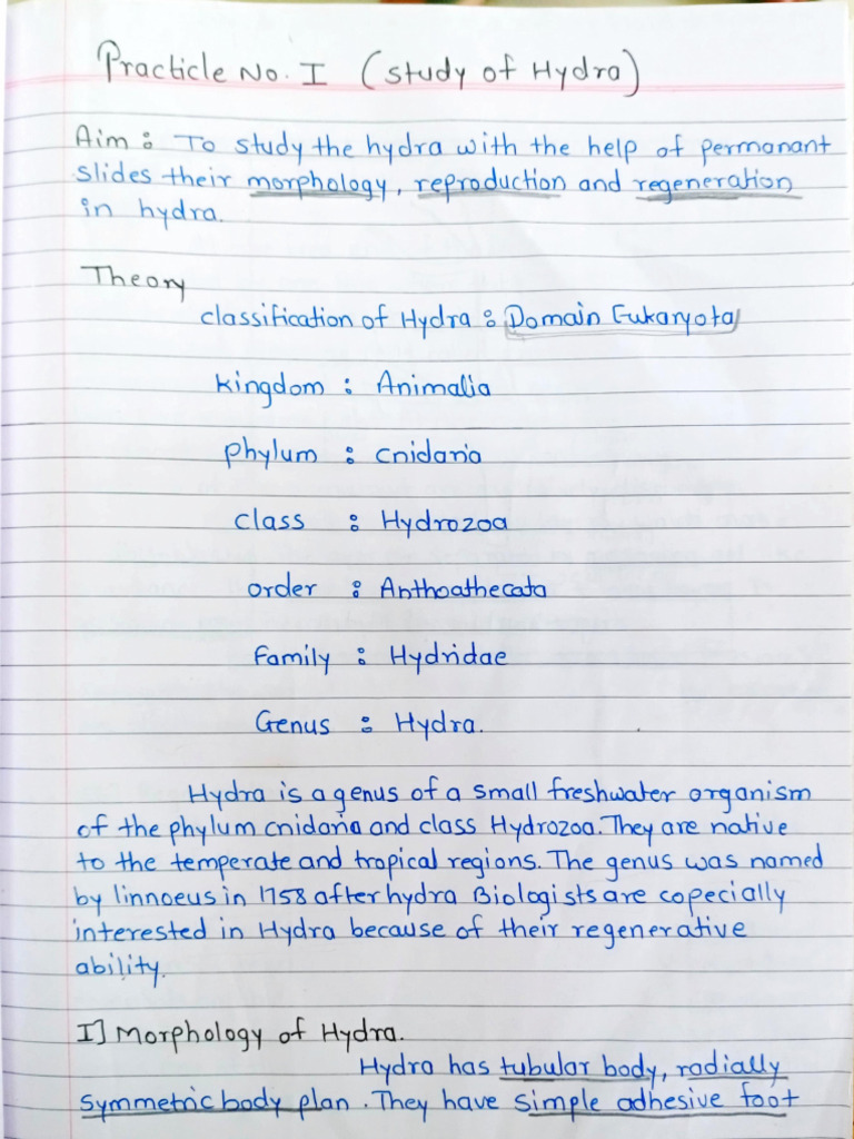 Practical 1 Hydra | PDF