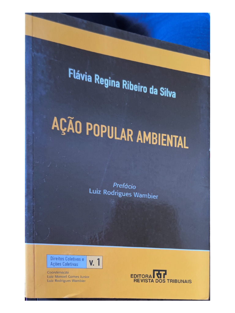Flávia Regina Ribeiro Da Silva | PDF