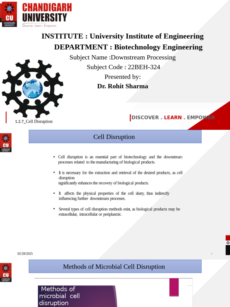 1.2.7 Cell Disruption | PDF | Lysis | Enzyme