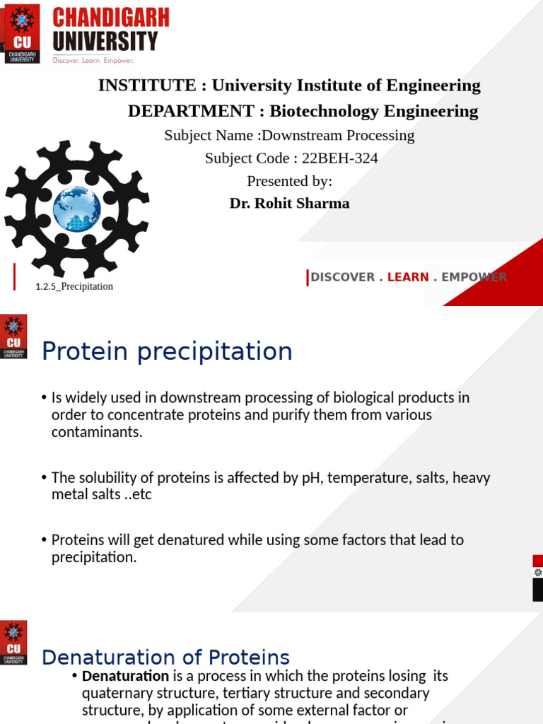 Protein Precipitation in Biotechnology | PDF | Salt (Chemistry ...