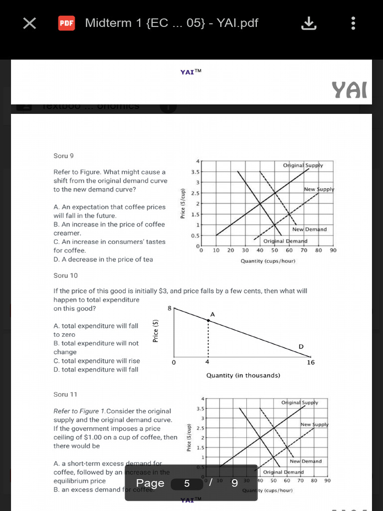 Yai - Econ1005 | PDF
