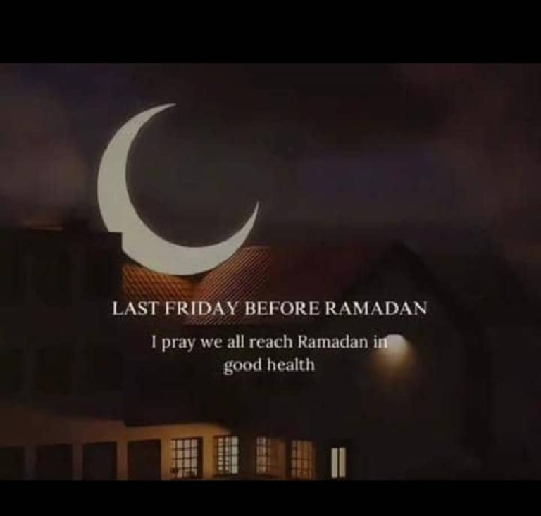 PDF Phoenix 20250228 144336 | PDF