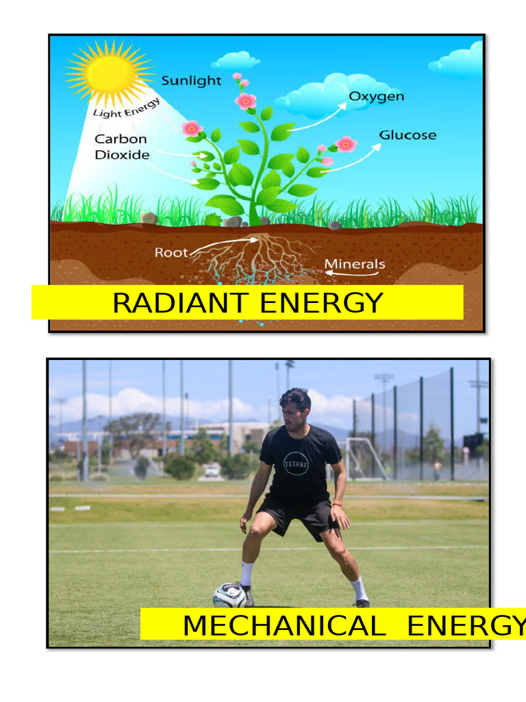 Types of Energy Explained | PDF