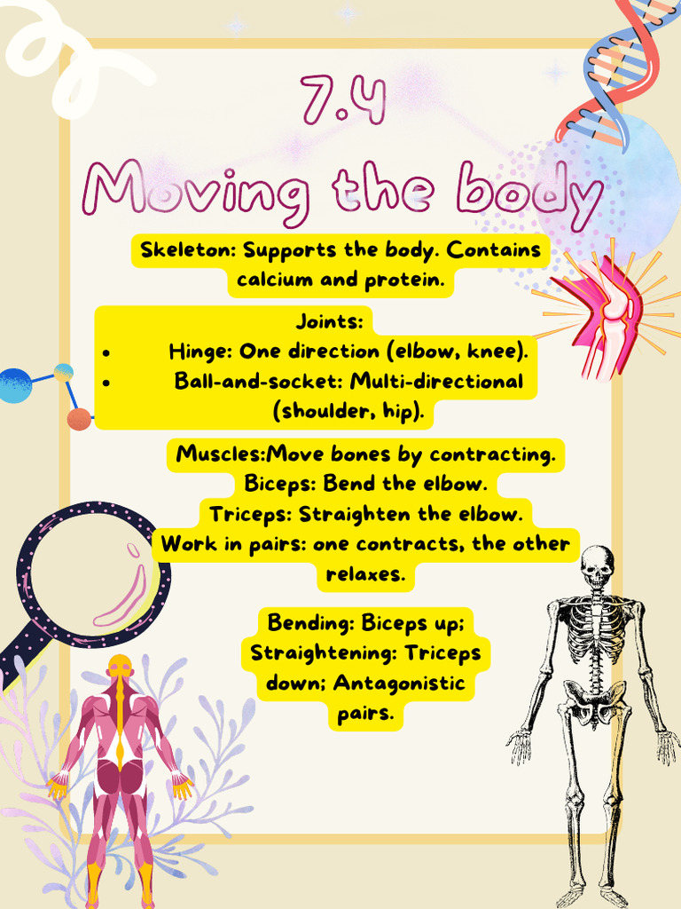 7.4 Moving The Body | PDF