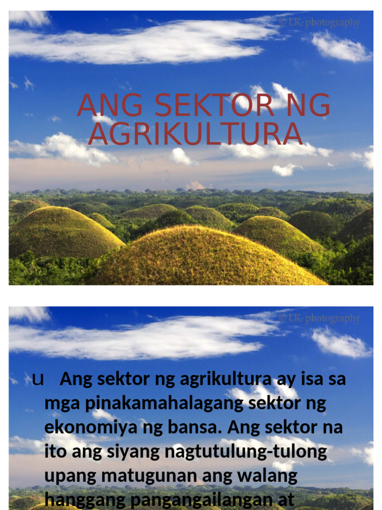 Ang Sektor NG Agrikultura | PDF