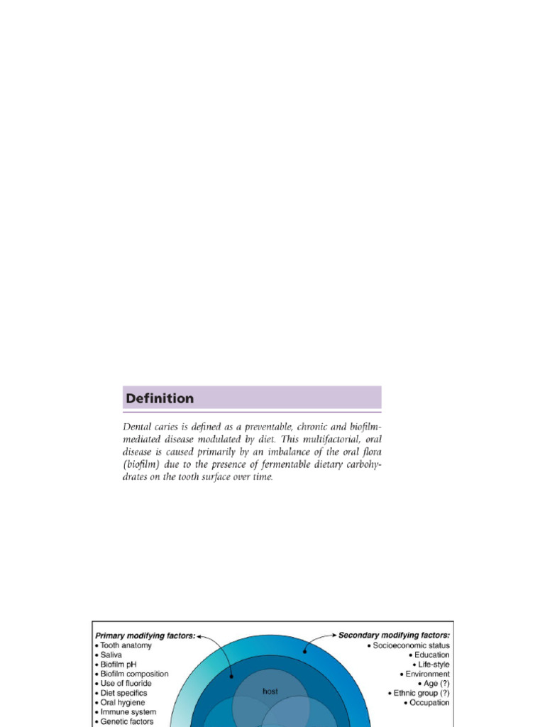 CONSEE VIVA QAs | PDF