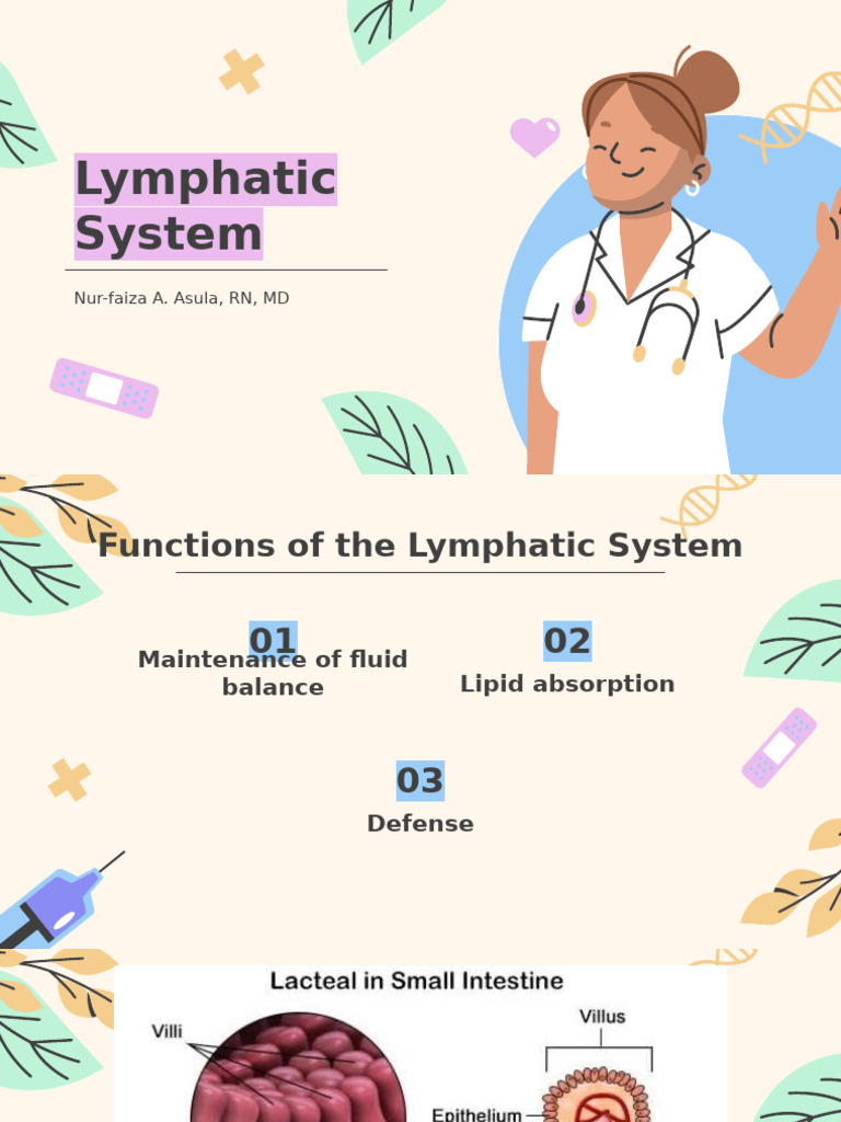 Functions and Structure of the Lymphatic System | PDF