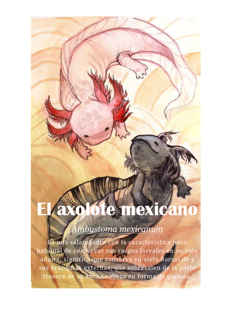 Ajolote | PDF