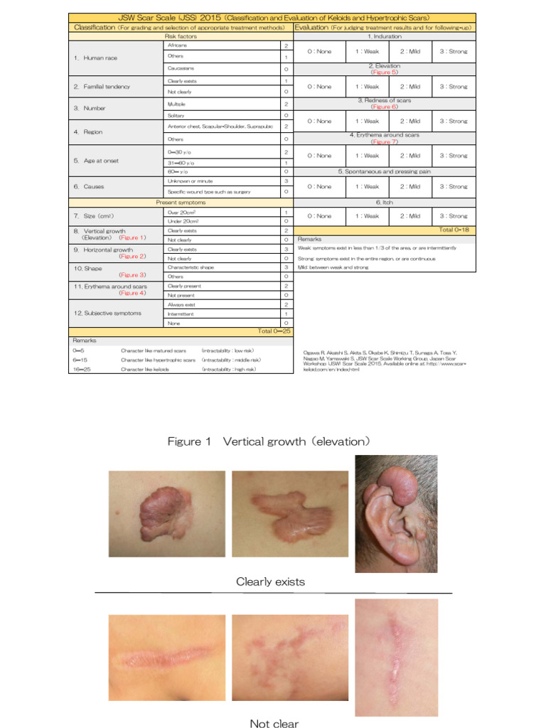 JSW Scar Scale Overview | PDF