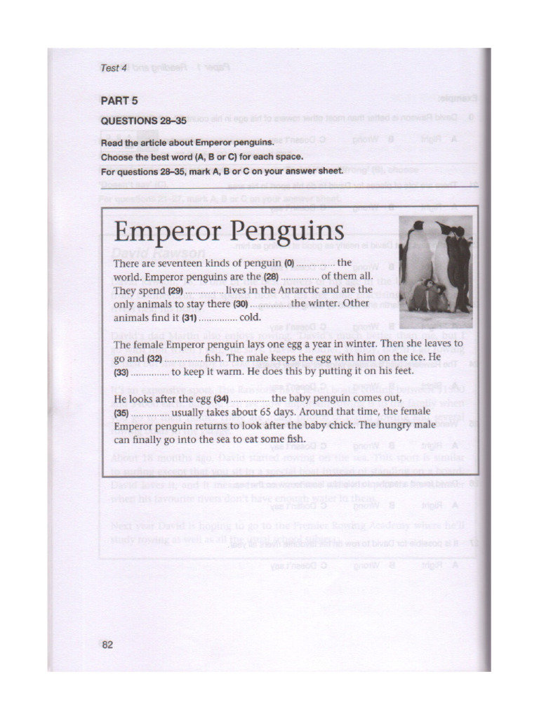 Reading | PDF