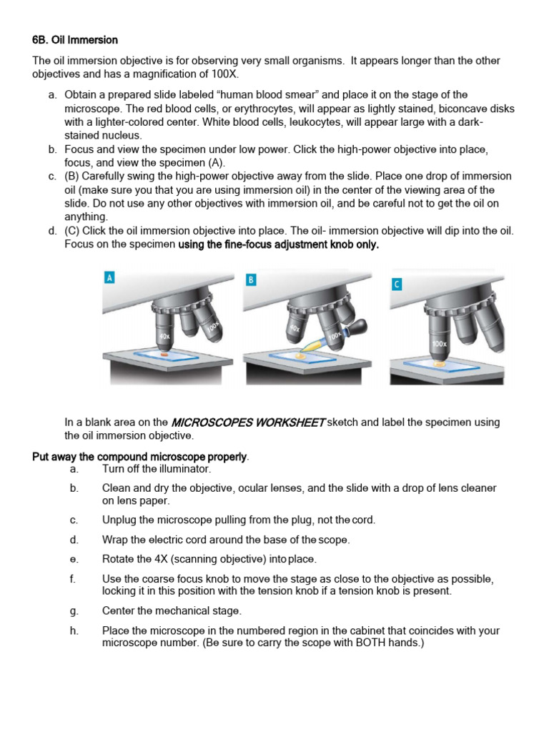 Oil Immersion Microscope Technique | PDF