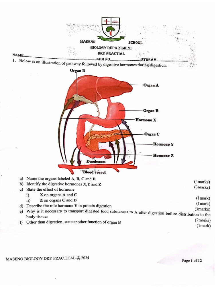 Dry Practical 2024 | PDF