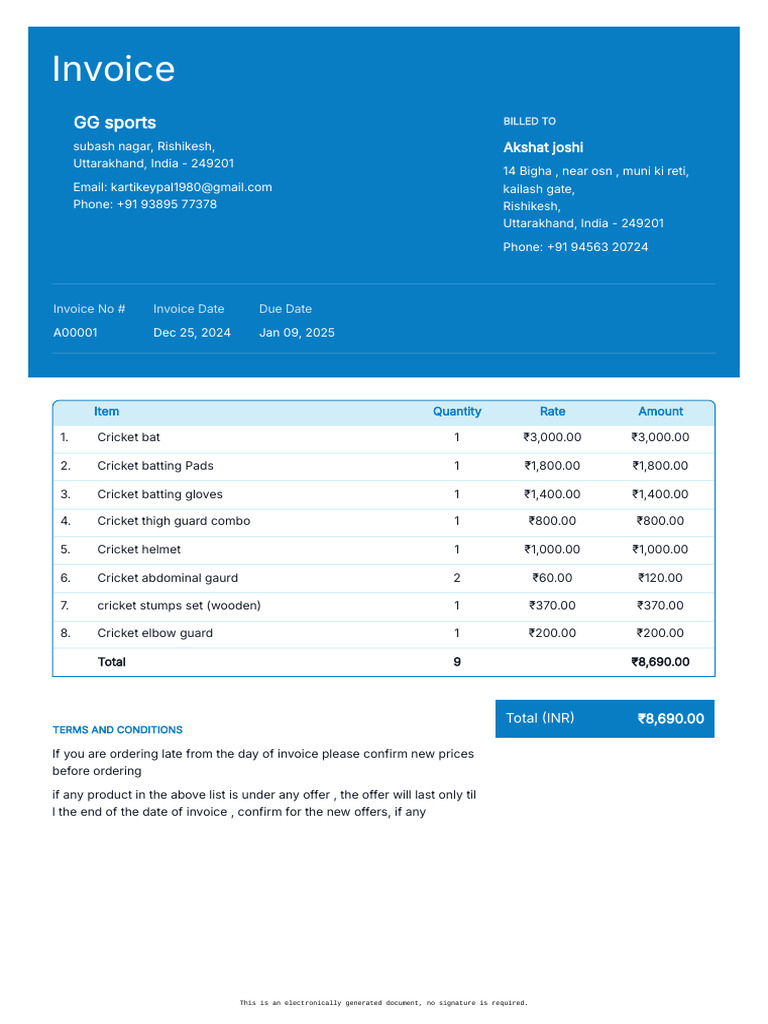 Invoice for Cricket Equipment Purchase | PDF | Summer Sports | Ball And ...