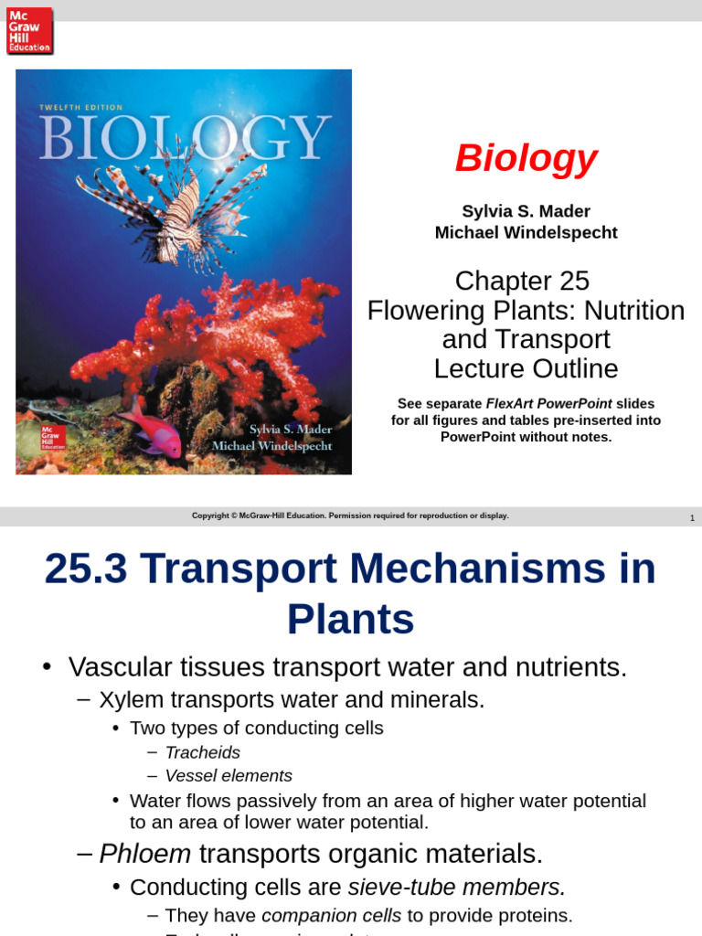 25 Flowering Plants Nutrition and Transport | PDF | Stoma | Branches Of Botany
