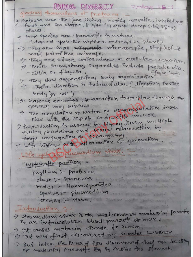 Zoology GE 1 (Unit-1) Notes (Animal Diversity) | PDF
