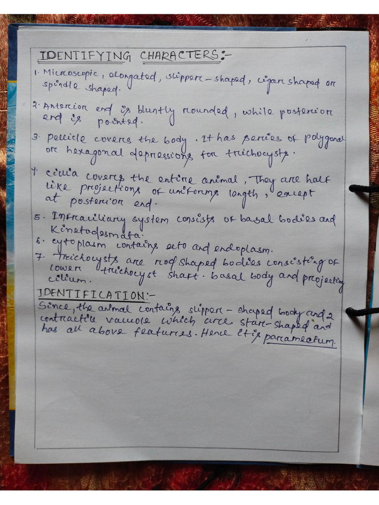 Zoology Practical.. | PDF