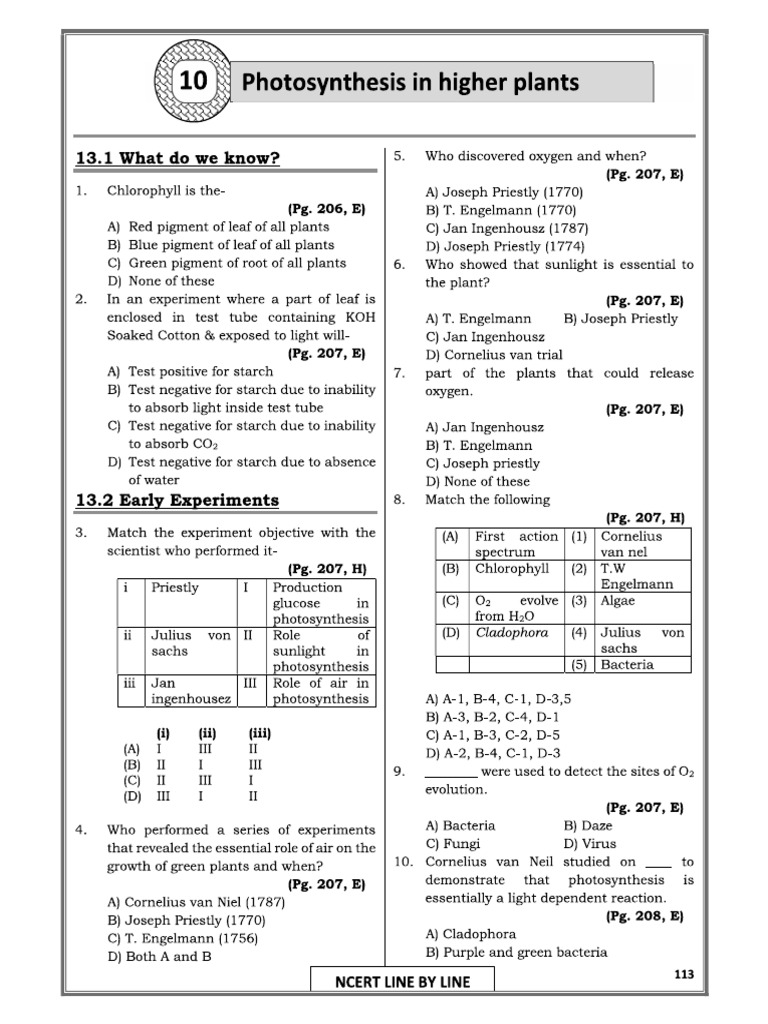 Photosynthesis | PDF