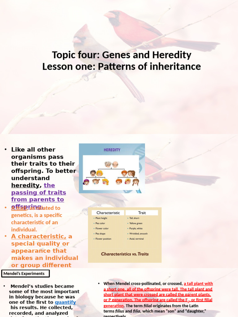 Patterns of Inheritance | PDF | Dominance (Genetics) | Genotype