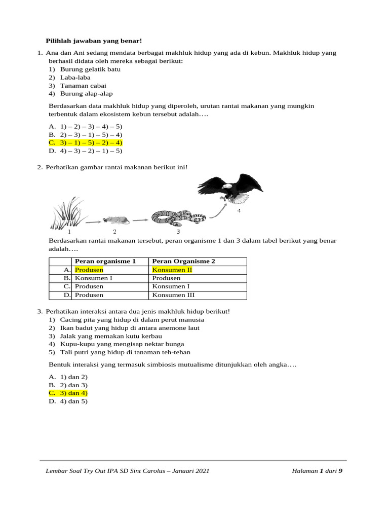 Latihan Soal Us Ipa | PDF