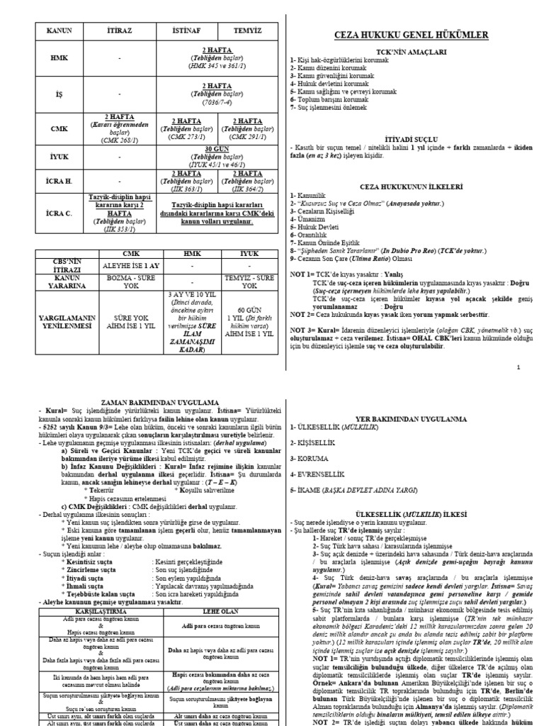 07-Ceza Hukuku | PDF