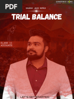 Trial Balance Questions Class11 | PDF